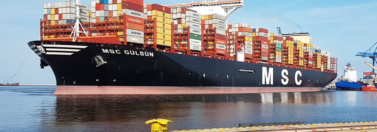 Naviera MSC ofrece plataforma con cotización online automática ...